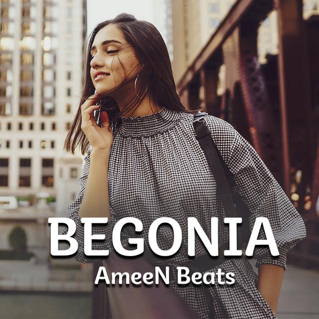 AmeeN Beats - Songs, Events and Music Stats | Viberate.com