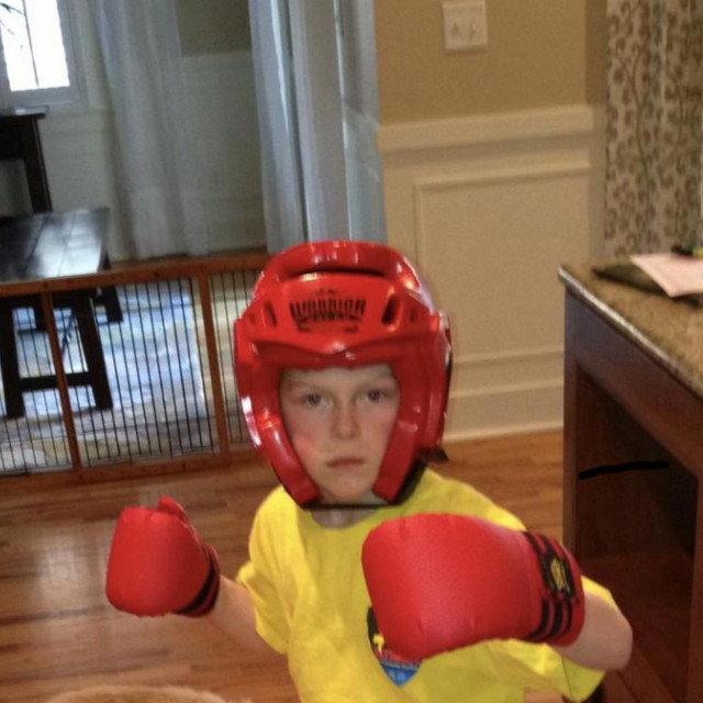 Bird - Songs, Events and Music Stats | Viberate.com