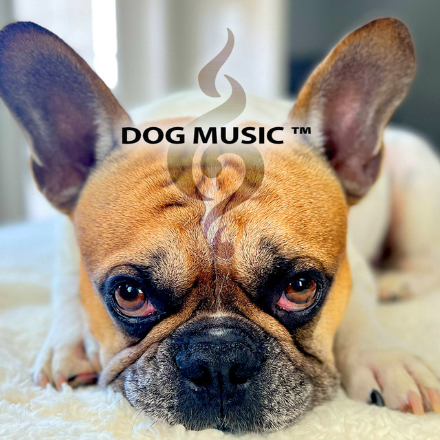 Dog Music - Songs, Events and Music Stats | Viberate.com