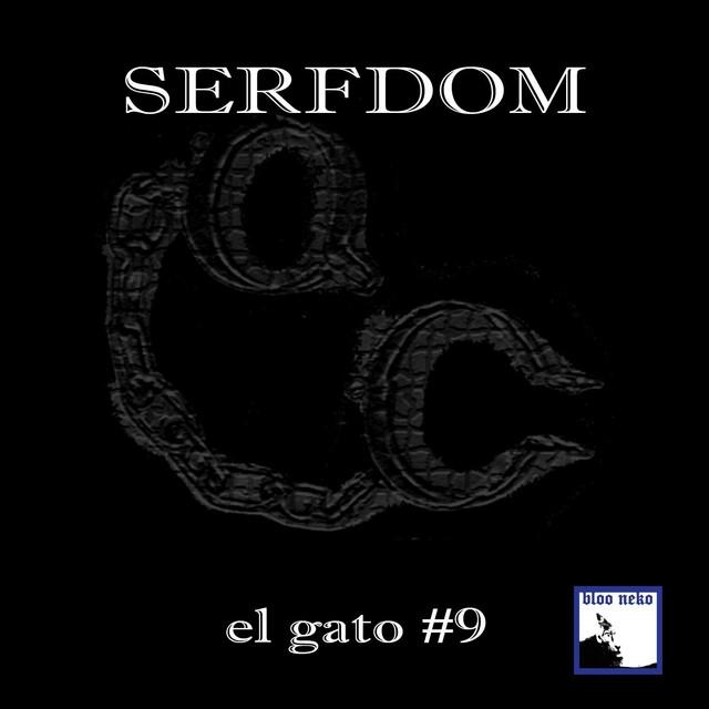 El Gato #9 - Songs, Events and Music Stats | Viberate.com