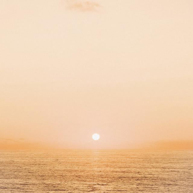 Enzo Costa - Songs, Events and Music Stats | Viberate.com