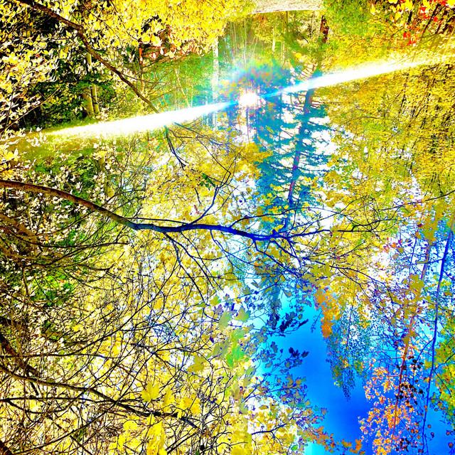 Eros Odeon - Songs, Events and Music Stats | Viberate.com