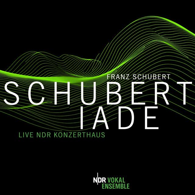 Klaas Stok - Songs, Events and Music Stats | Viberate.com