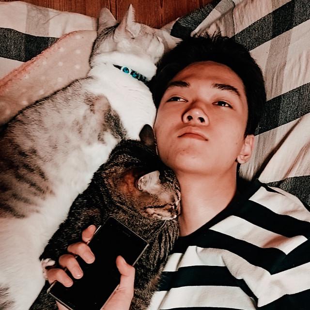 市川空 - Songs, Events and Music Stats | Viberate.com